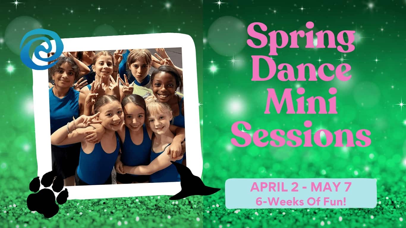 Mini Sessions - Classic Image Dance