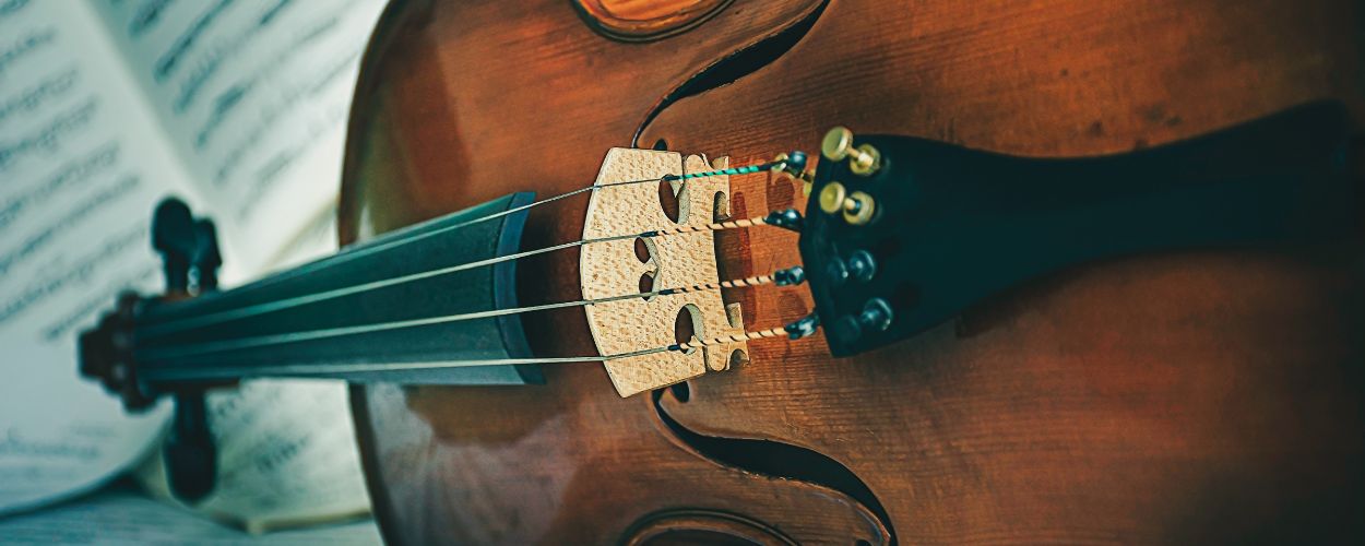 Violin Vs Cello: How To Choose Which Is Best For You