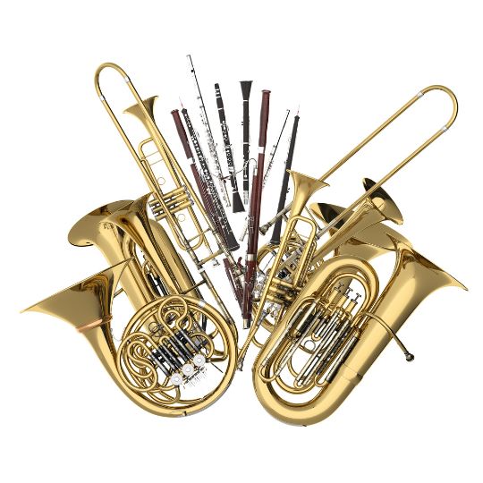 Band & Orchestra Instrument Rentals in Lafayette, LA